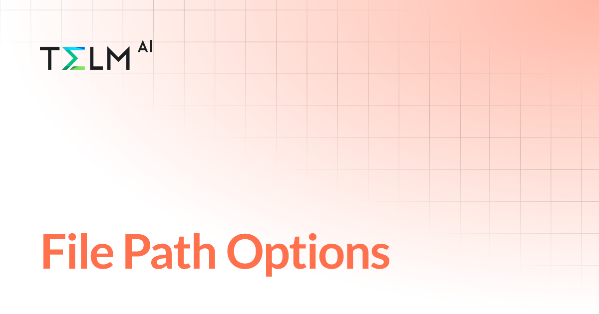 File Path Options | Telmai